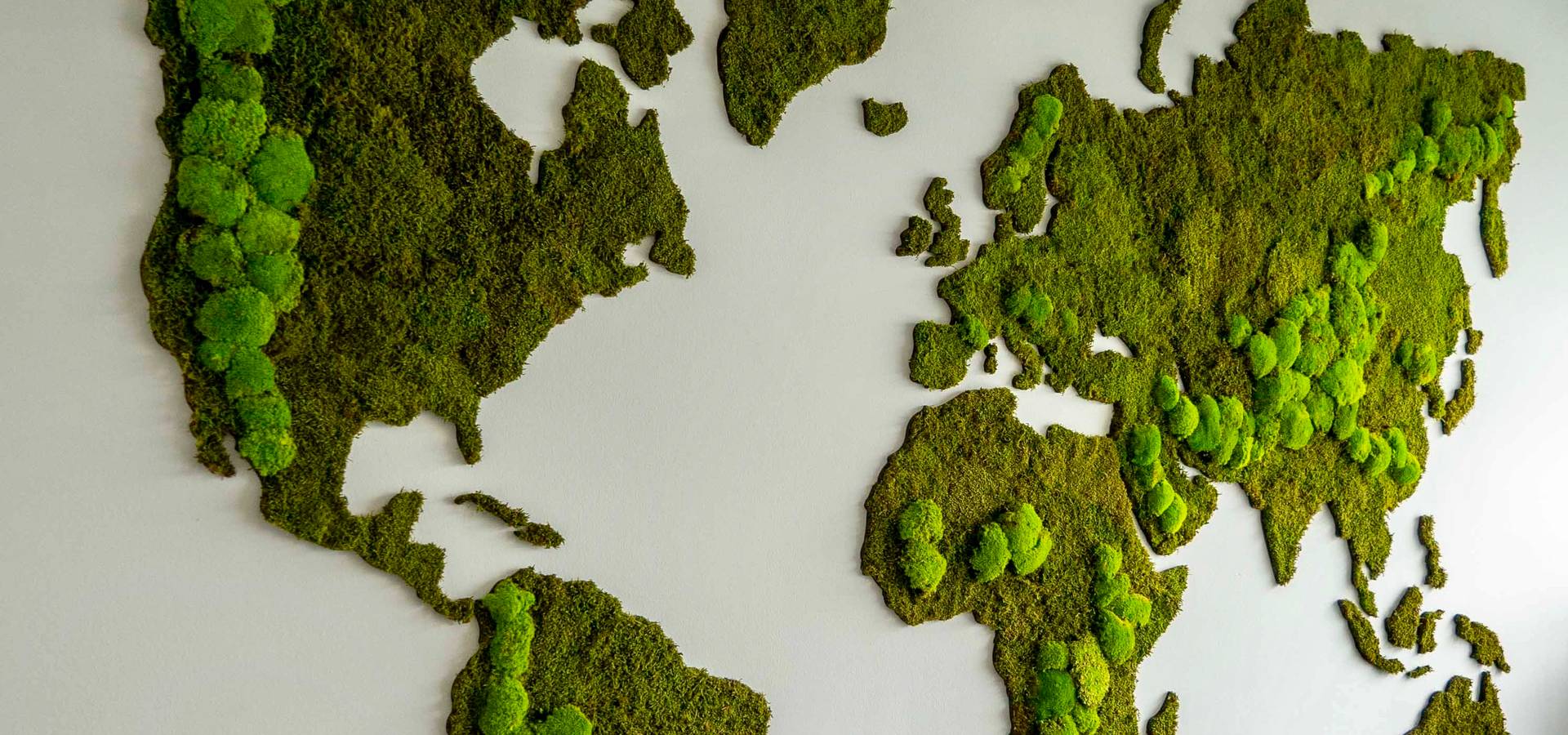 Moos Weltkarte | homify