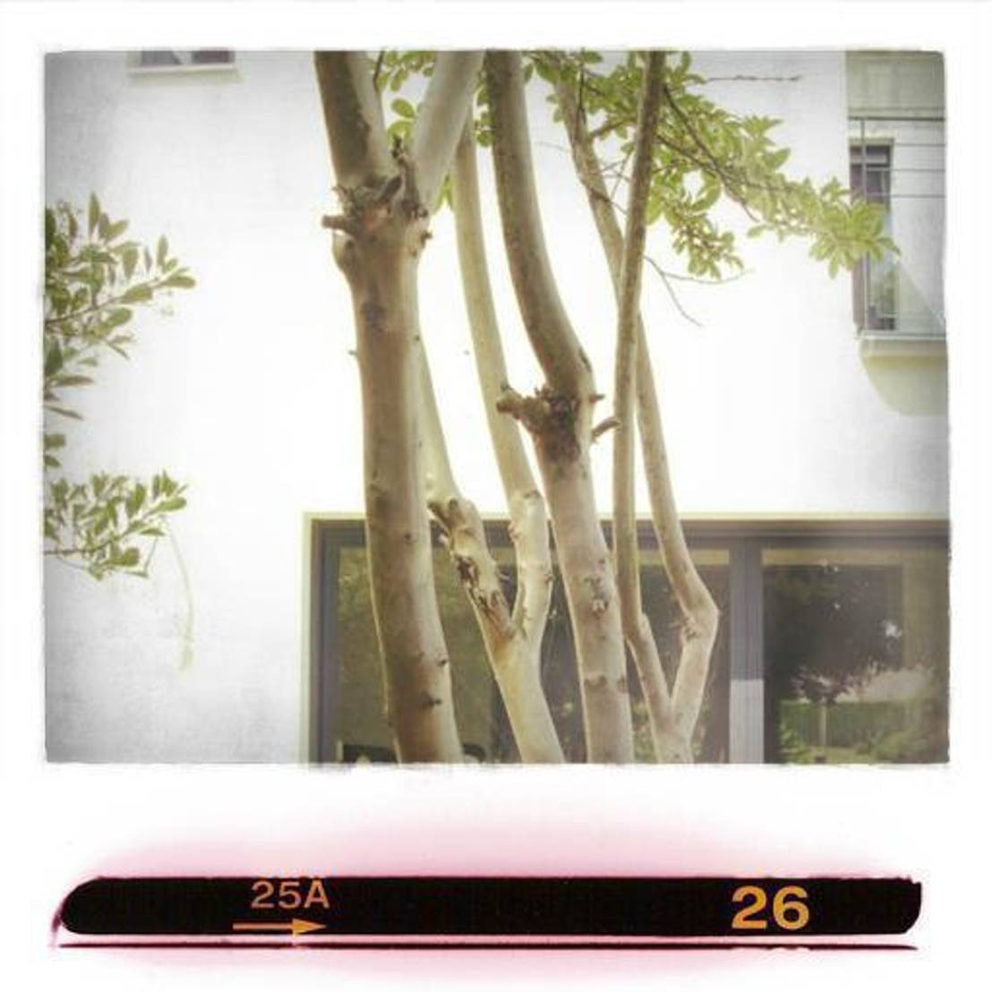 The atypical House | homify