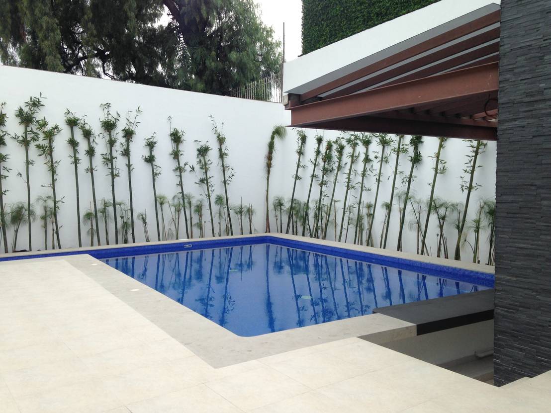 Estas 15 albercas se verán bien en espacios pequeños - ¡Elige tu favorita!