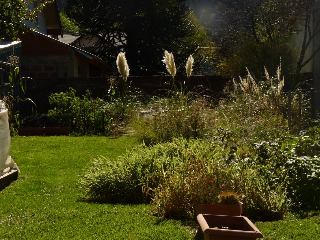 Jardín silvestre y sustentable | homify