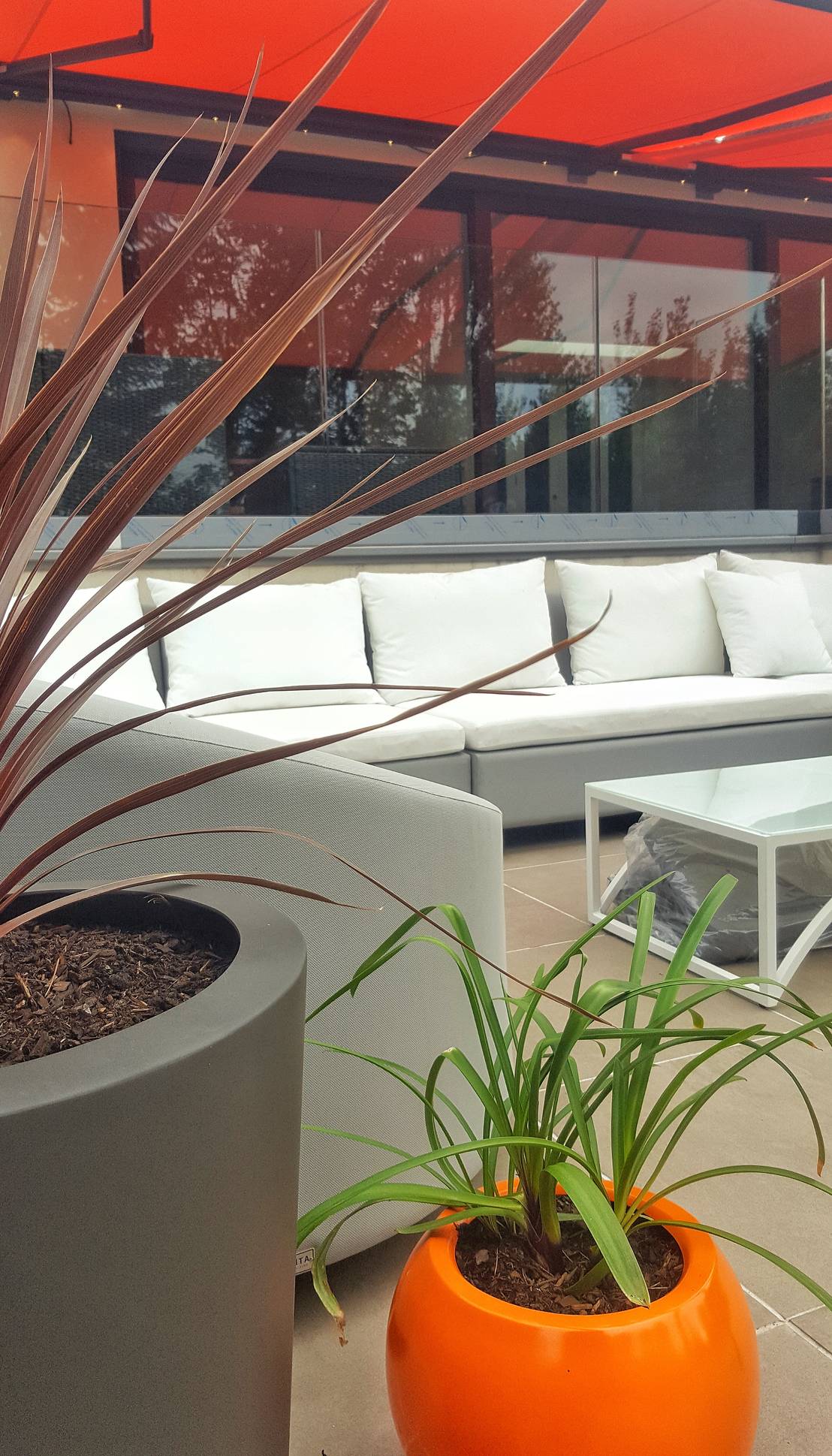 A Contemporary Garden with a Splash of Orange | homify