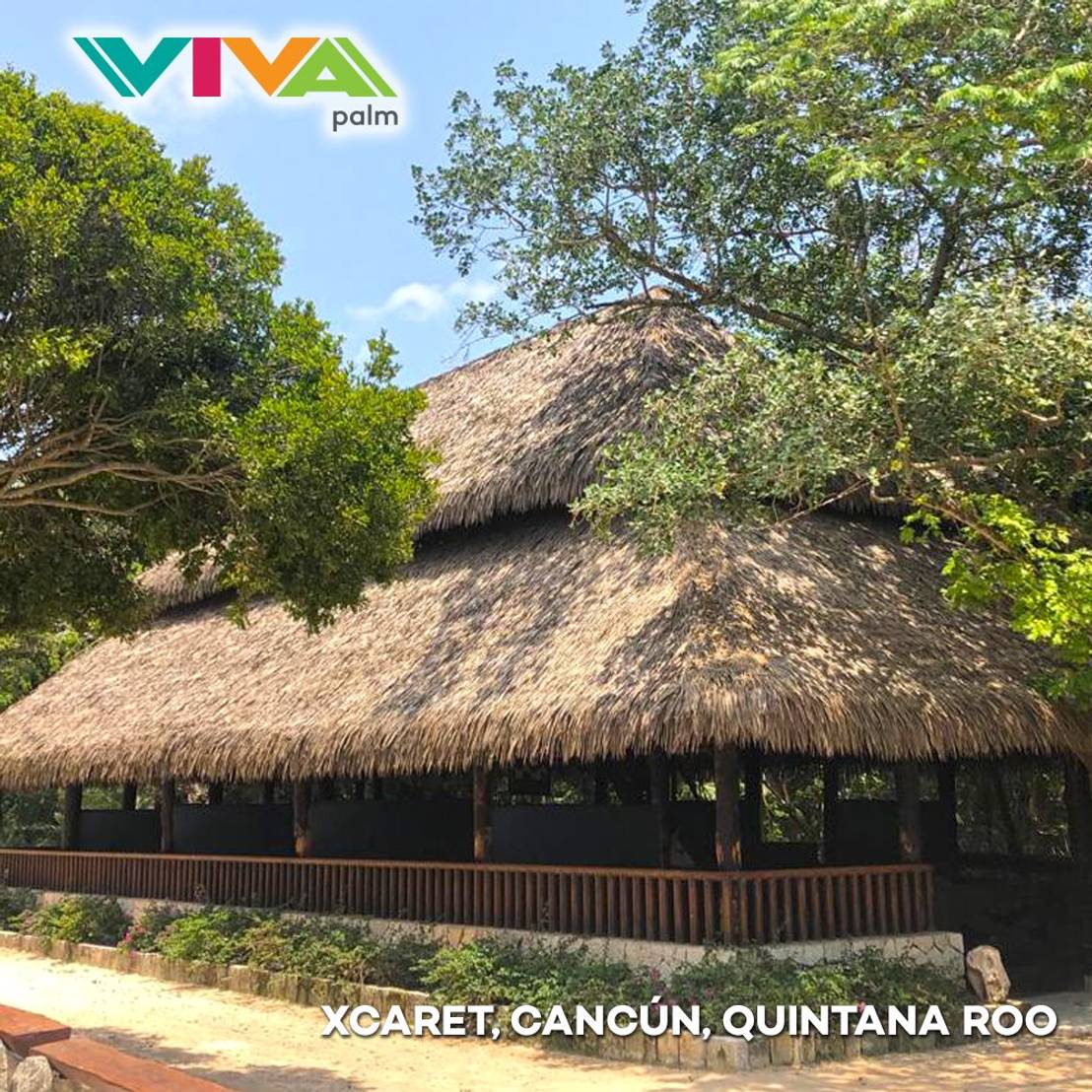 CAMBIOS DE TECHOS DE PALMA NATURAL A VIVA PALMA SINTÉTICA. | homify