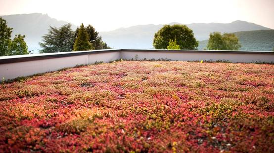 Le Toit Végétal Accessible à Tous!! | homify