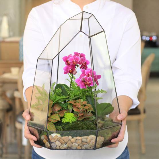 Construa seus próprios mini jardins e estimule sua criatividade! | homify