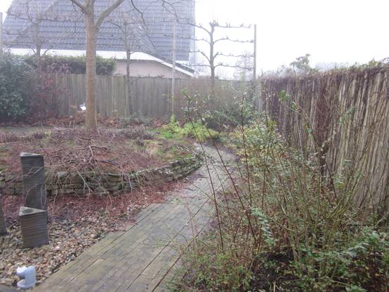 Renovating a neglected garden | homify