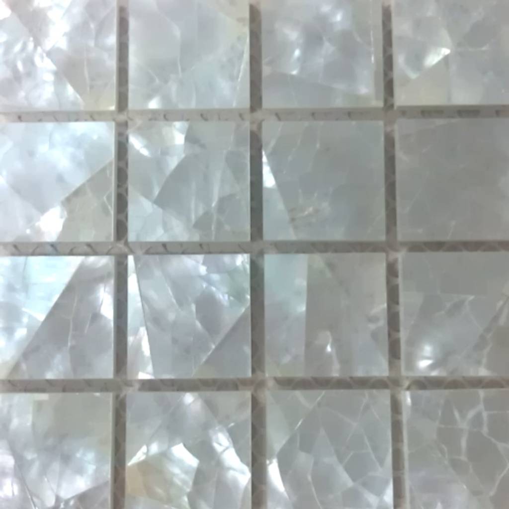White lip crackle mother of pearl mesh-joint tile | homify
