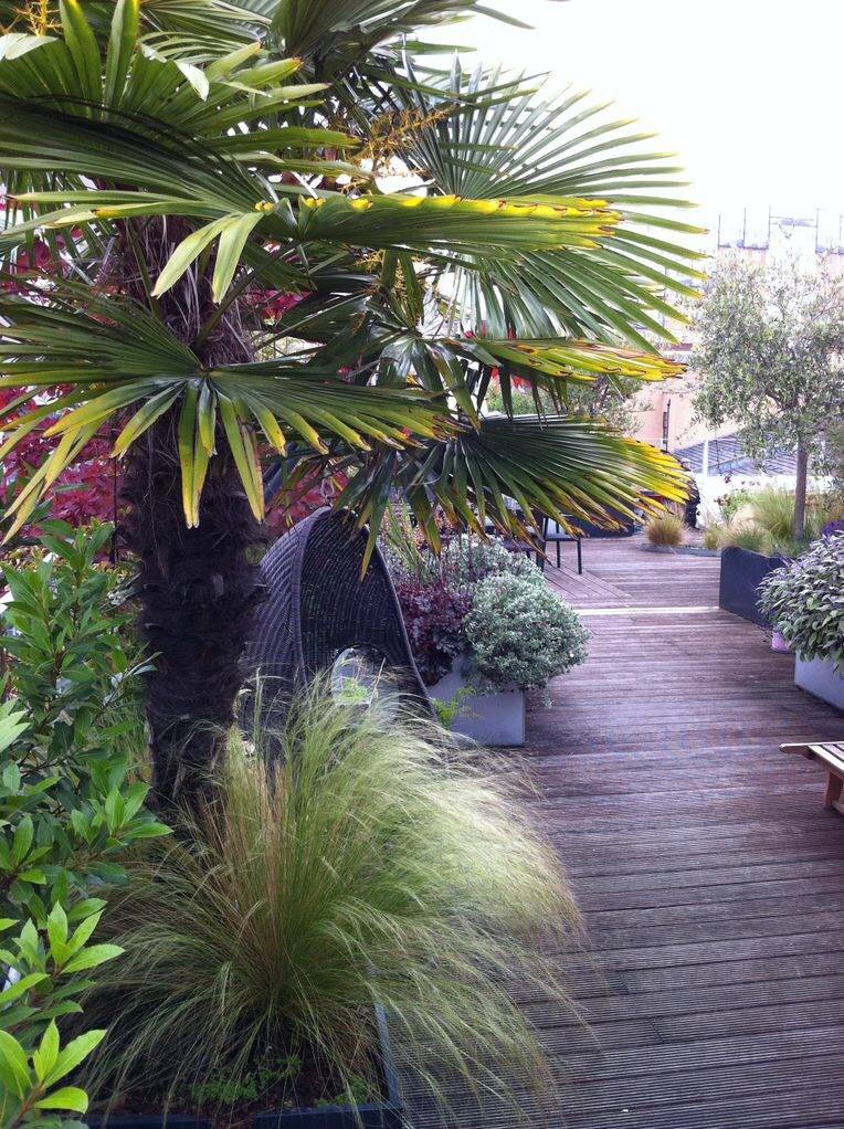 Garden in the sky, cool gardens landscaping | homify