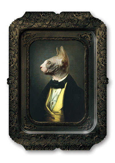 Galerie de portraits, ibride | homify