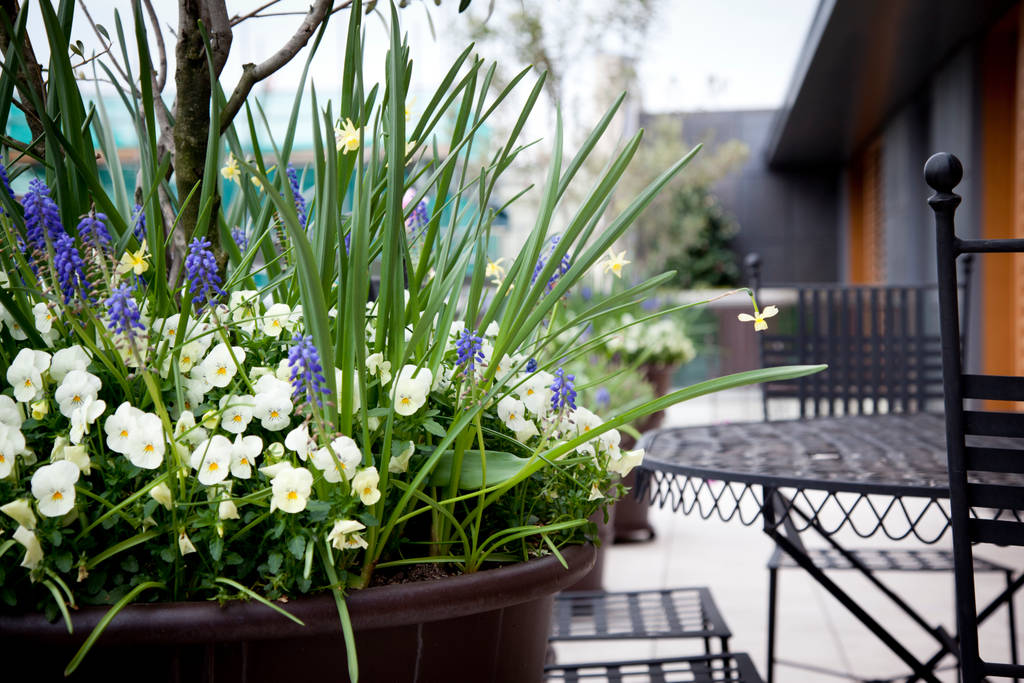 Beautiful planters | homify