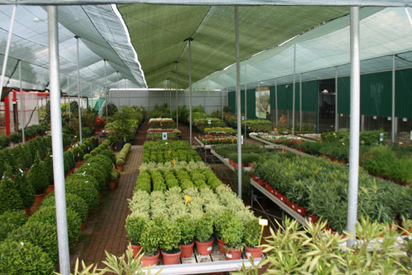 Viveros rucat – viveros madrid jardines modernos de viveros rucat ...