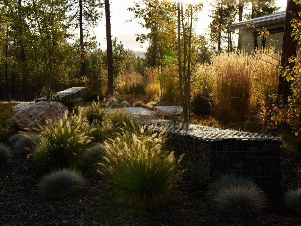 A wild garden in washington state usa, bowles & wyer | homify