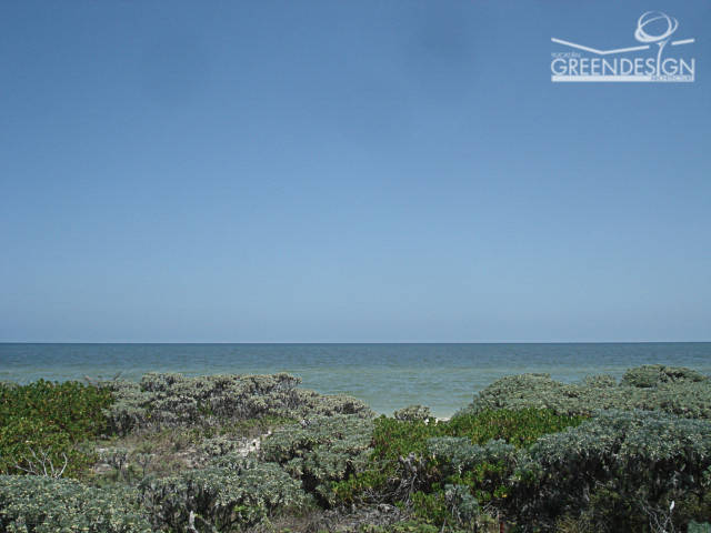 Duna costera jardines de estilo tropical de yucatan green design ...