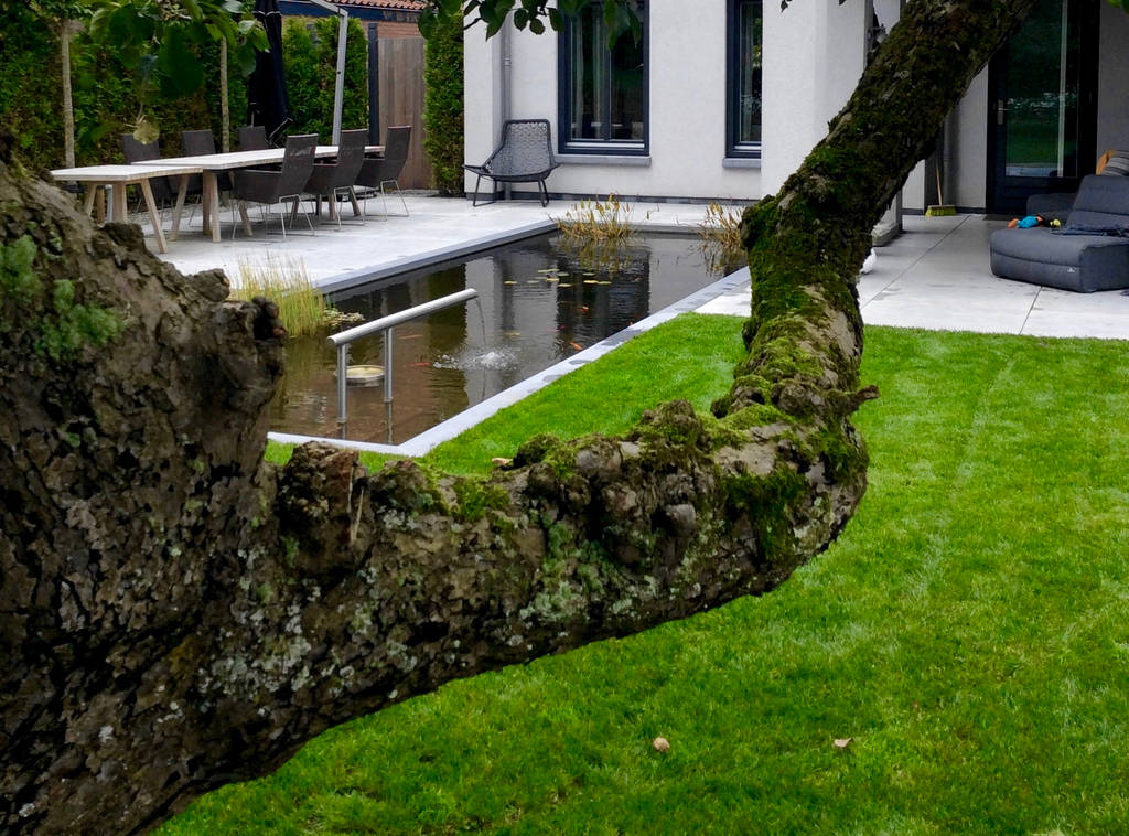 Moderne tuin met vijver en waterspel | homify