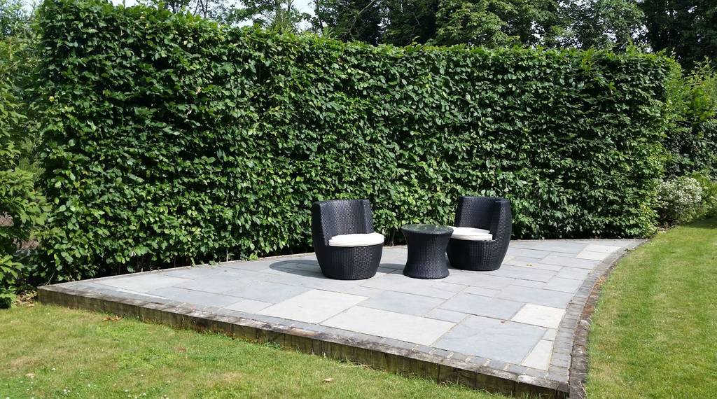 Long, narrow, contemporary garden design, woking, surrey linsey evans ...