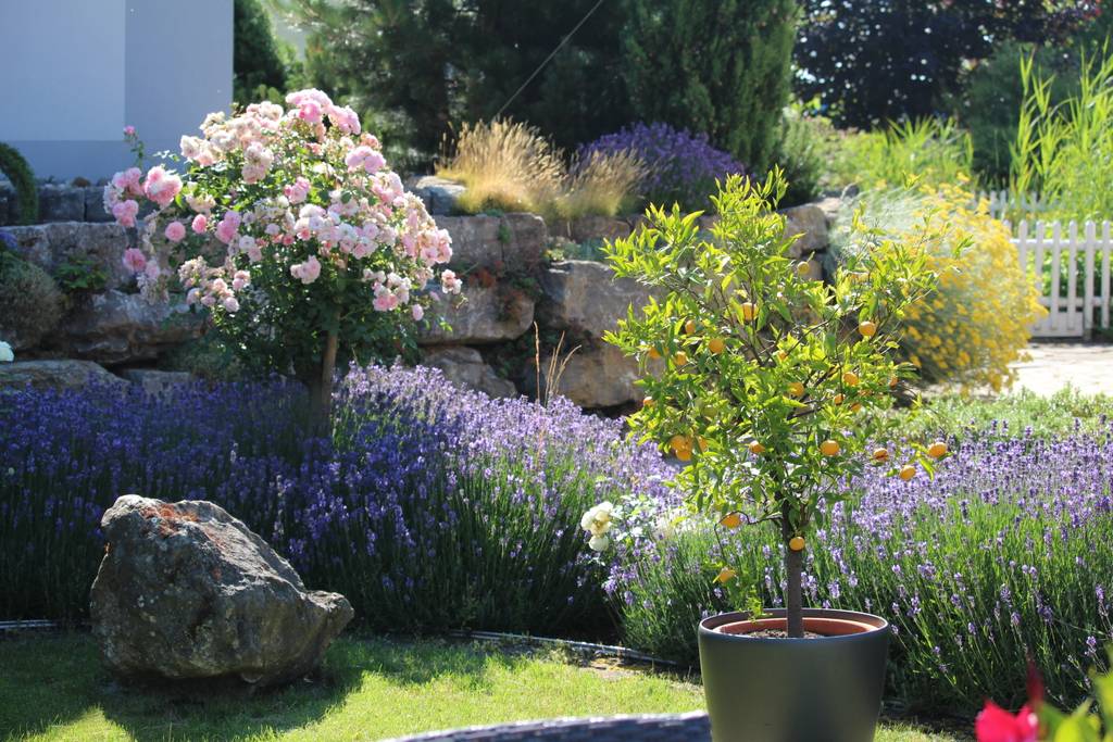 Garten garten im landhausstil von massive wohnbau gmbh und co. kg ...