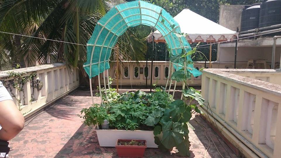 Smartgarden, greentech life | homify