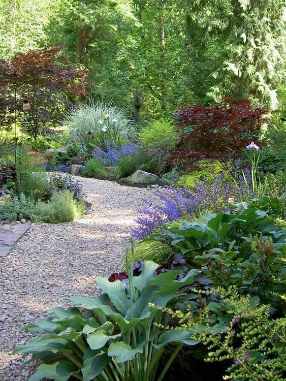 Informal planting scheme | homify