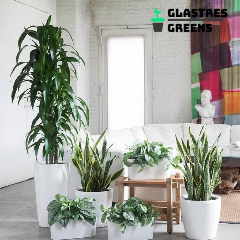 Glastres Greens Glastres Greens Homify