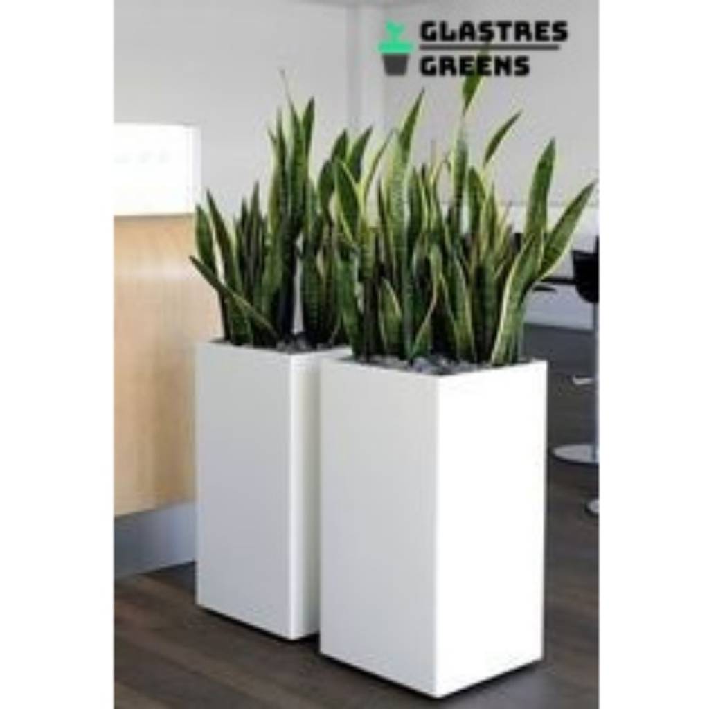 Glastres Greens Asian Style Garden By Glastres Greens Asian Homify