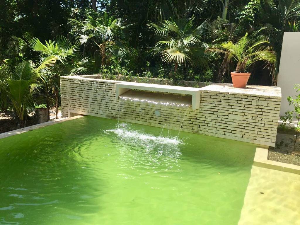 Piscina natural axg arquitectos albercas naturales | homify