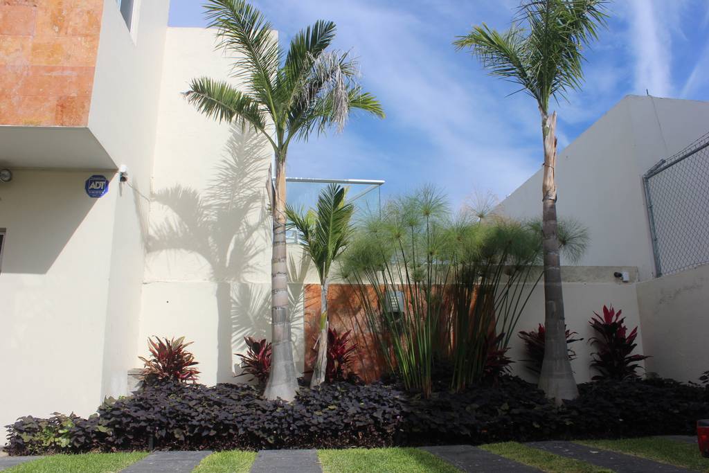 Primer propuesta de jardín frontal | homify