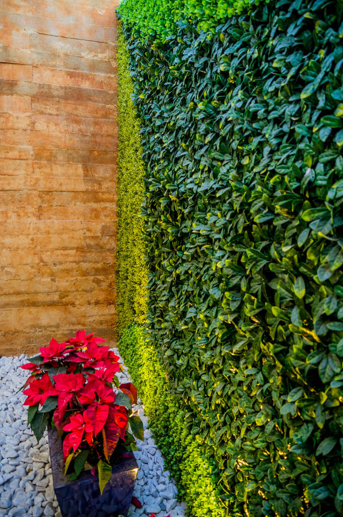 Ls-2 jardín vertical en sala de juegos., yute interiorismo | homify