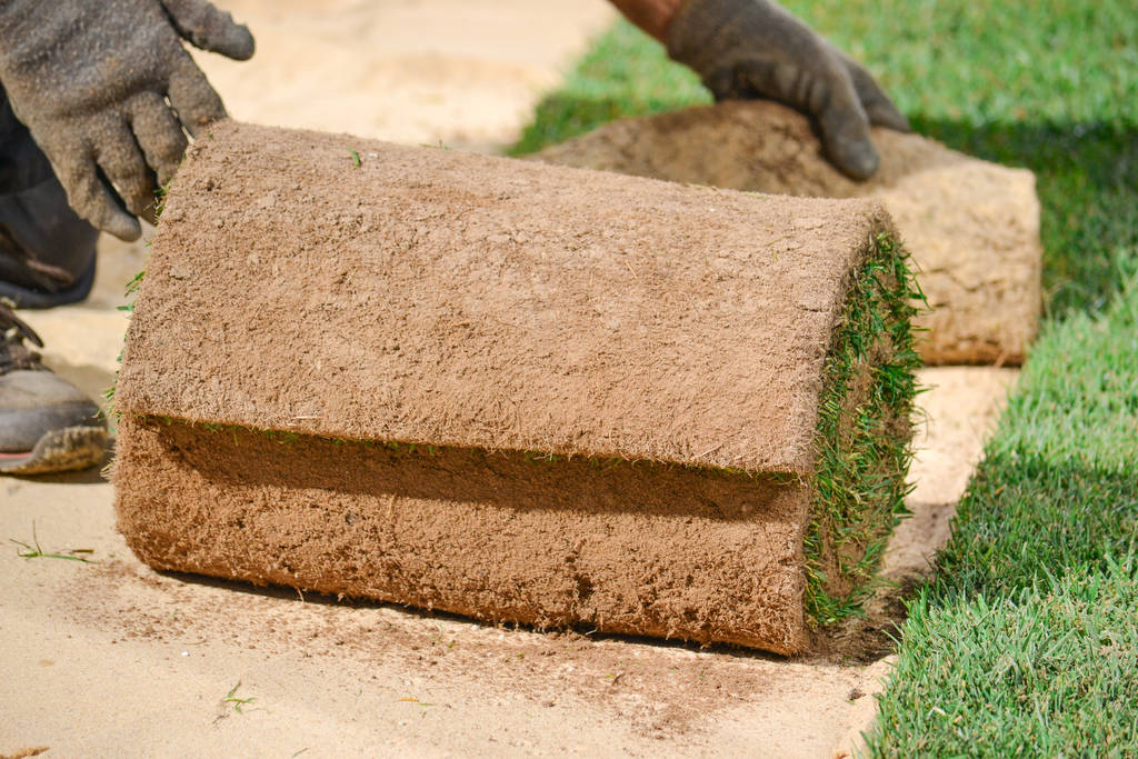 Colocação de tapetes de relva natural, grass4you | homify