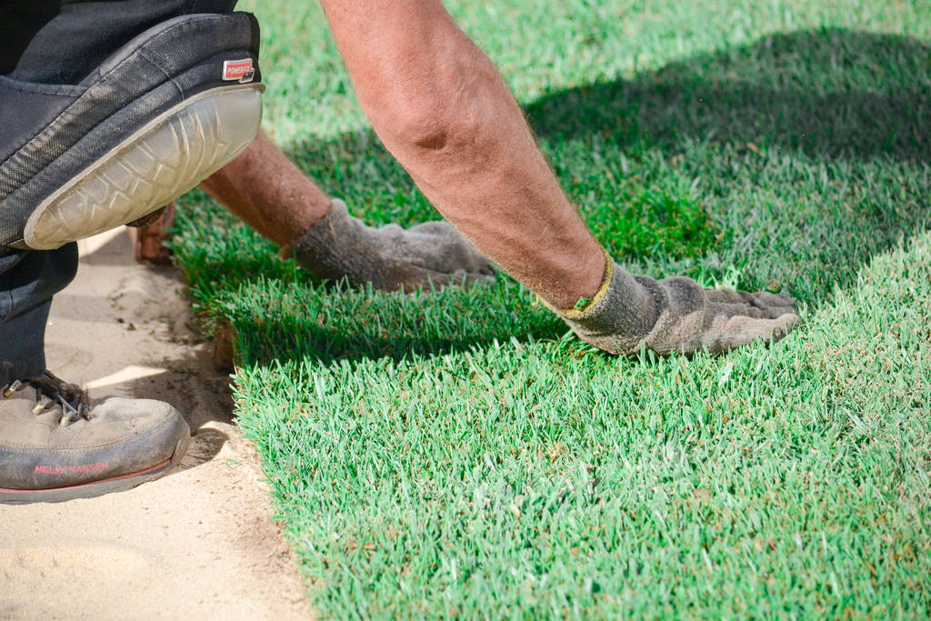 Colocação de tapetes de relva natural, grass4you | homify
