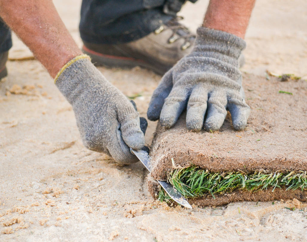 Colocação de tapetes de relva natural, grass4you | homify