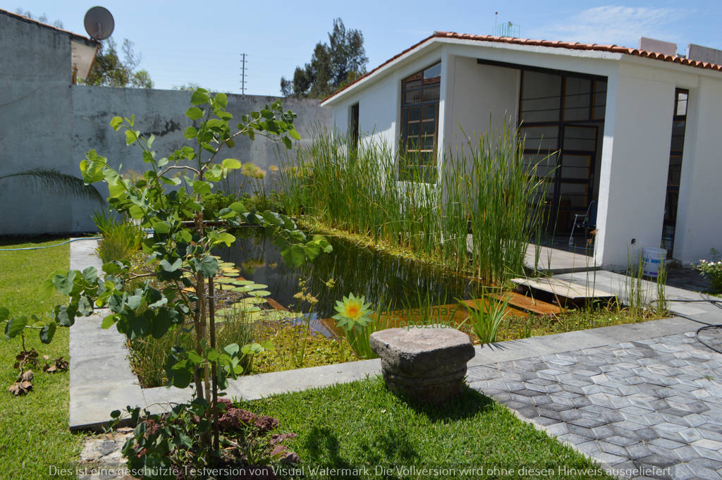 Albercas naturales o biopiscinas , la alternativa ecologico sin cloro o ...