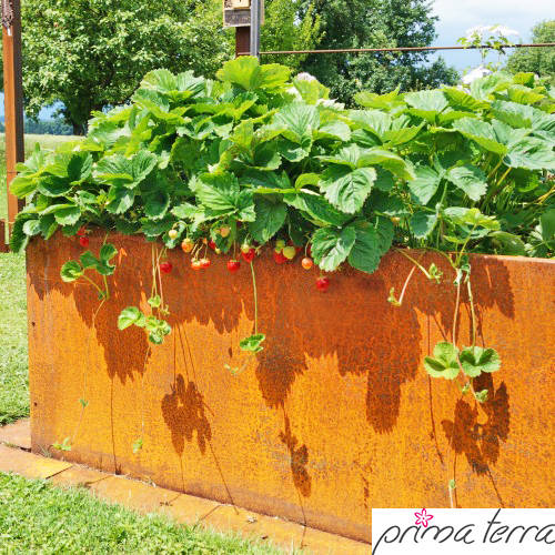 Edelrost hochbeet als bausatz | homify