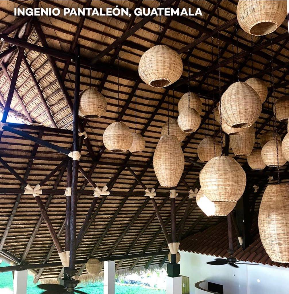 Techo con viva palma sintética | homify