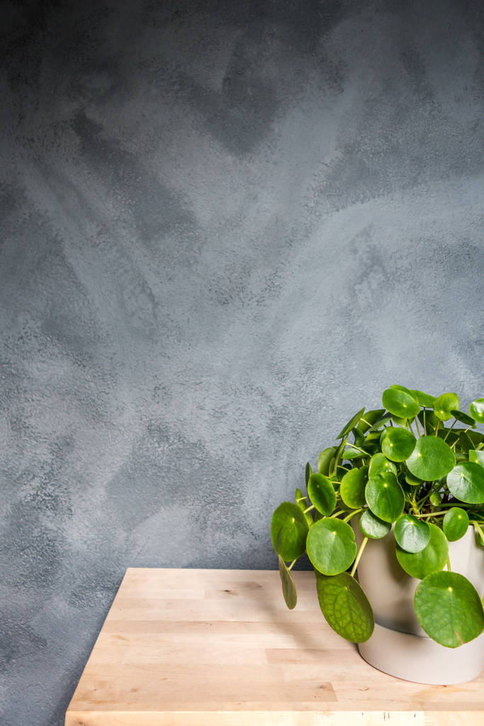 Blue stone fresco lime paint | homify