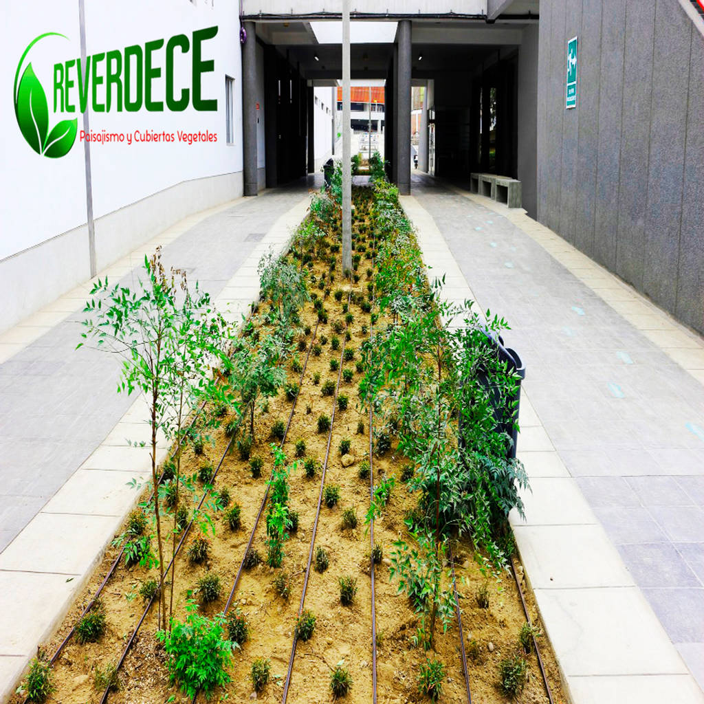 Pasaje de la felicidad de reverdece peru sac moderno | homify