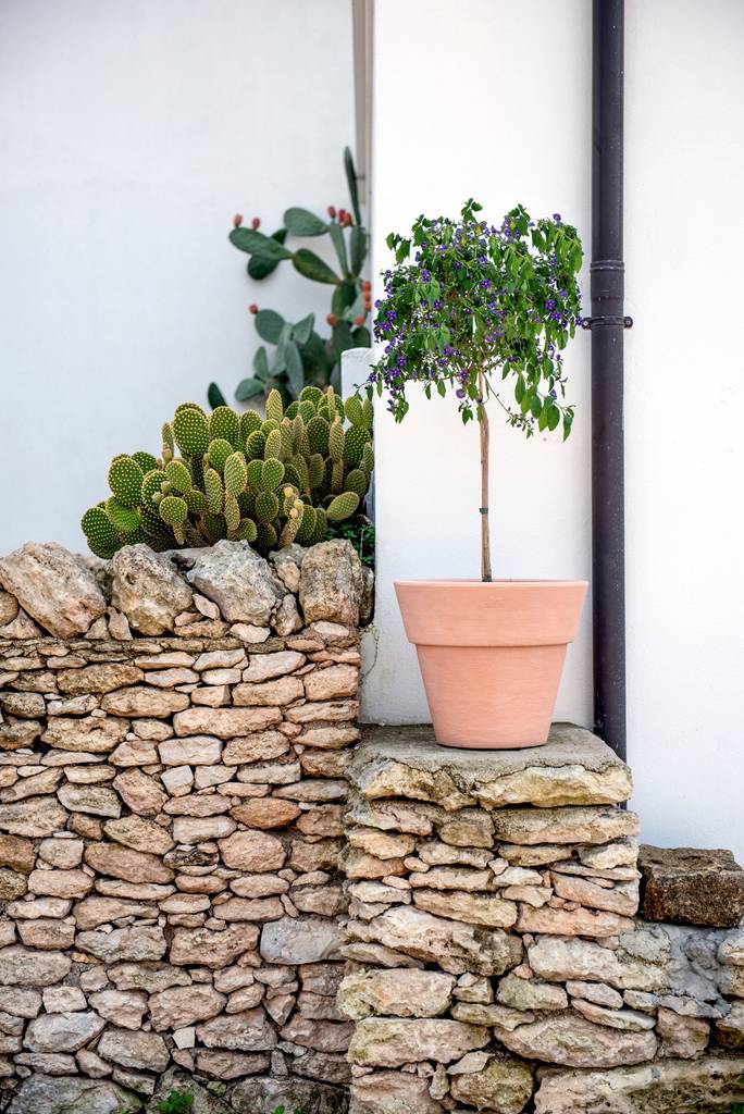 Maceteros decorativos, originales y rústicos con interpretación moderna ...