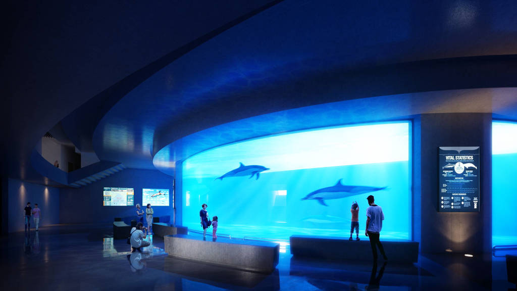 Delfiniti, bloom render | homify