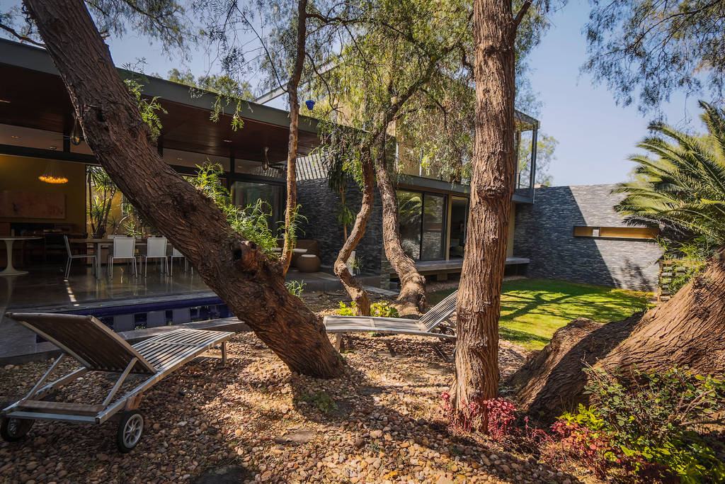 Casa del arbol, torre 13 | homify