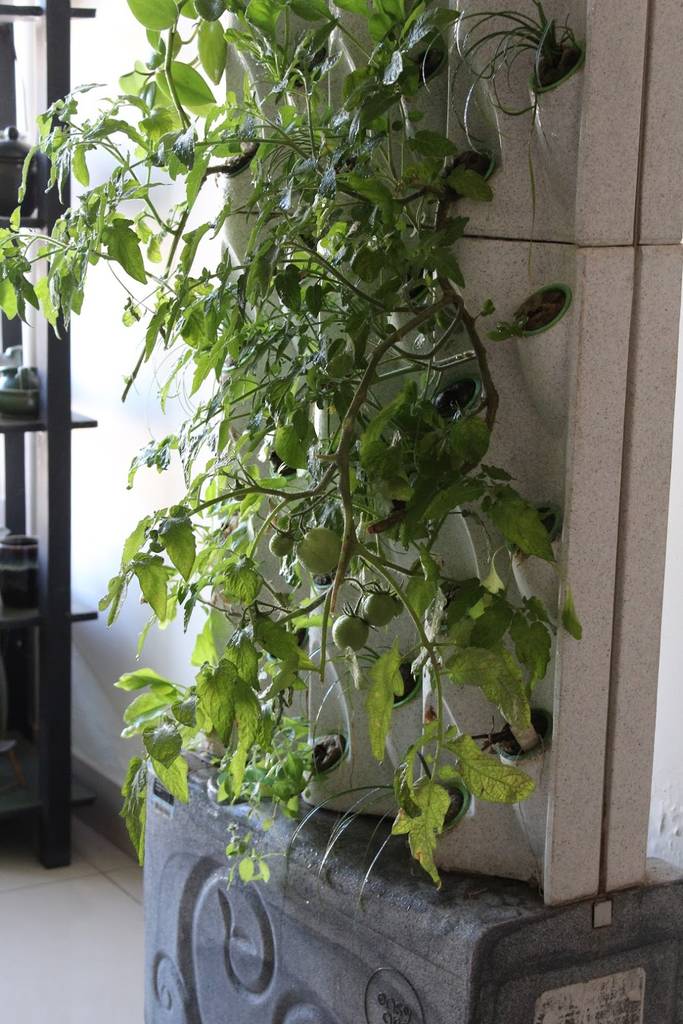 Smart kitchen garden system, easygro ecosystems llp | homify