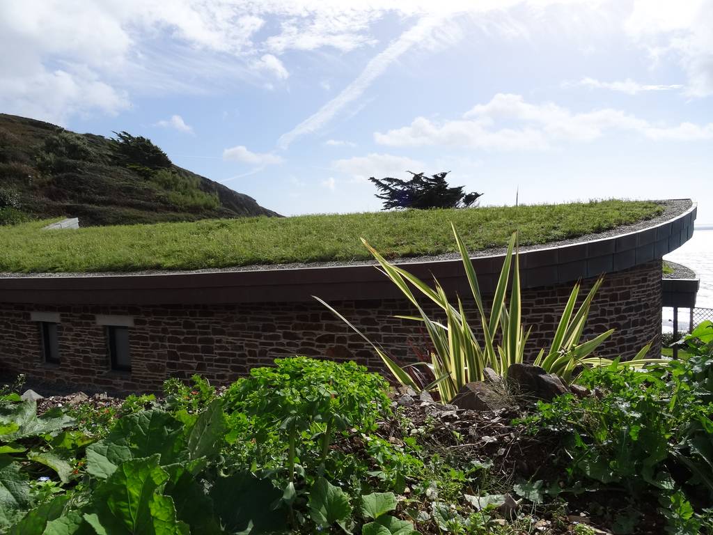 Curved wildflower roof | 호미파이 & homify