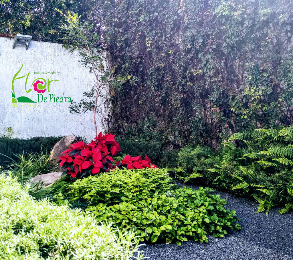 Diseño paisajista, flor de piedra jardines verticales | homify