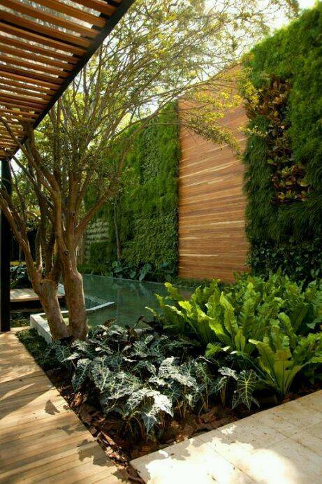 Fotos de Jardines de estilo moderno : | homify