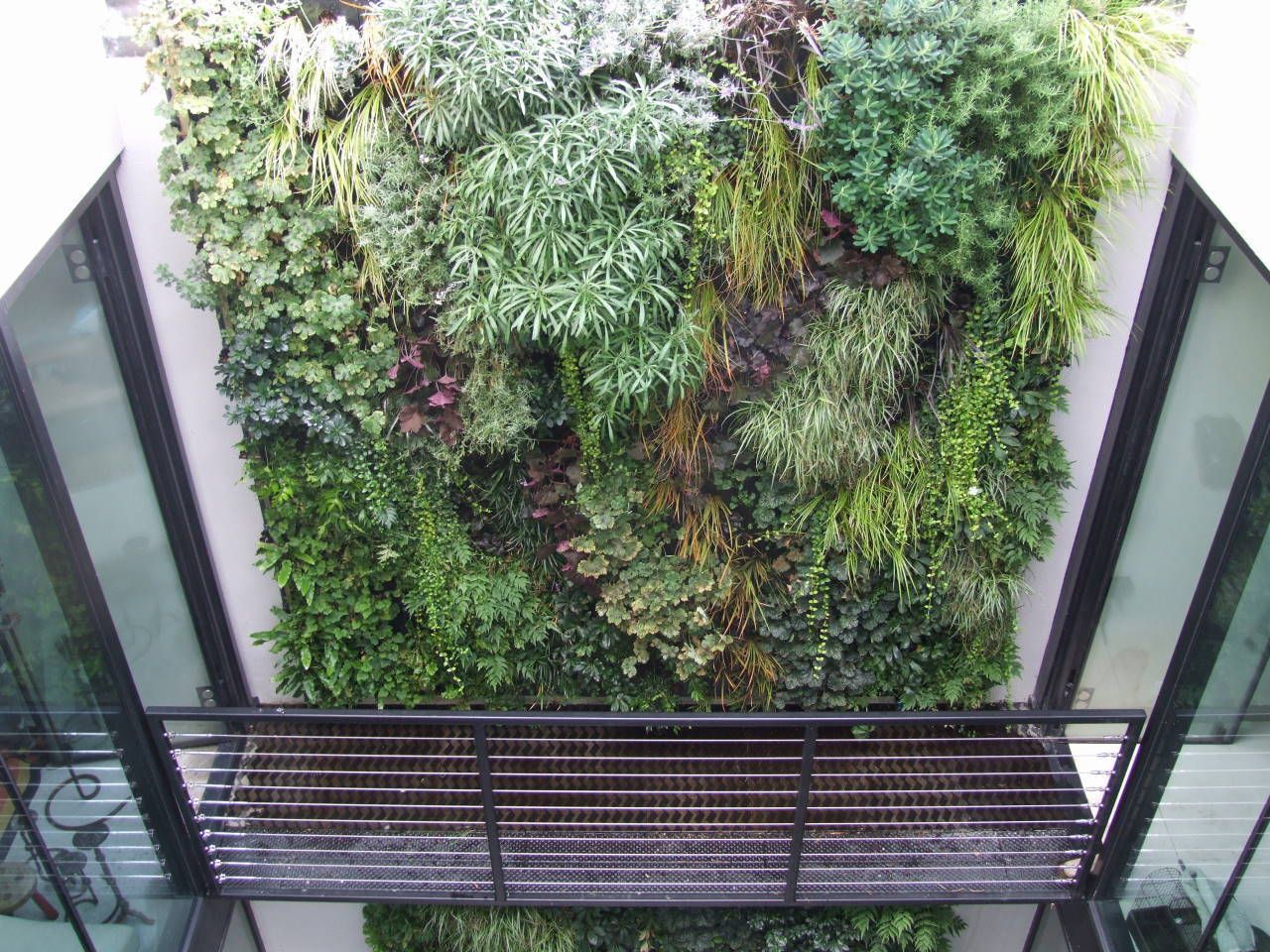 Indoor plants & vertical gardens | homify