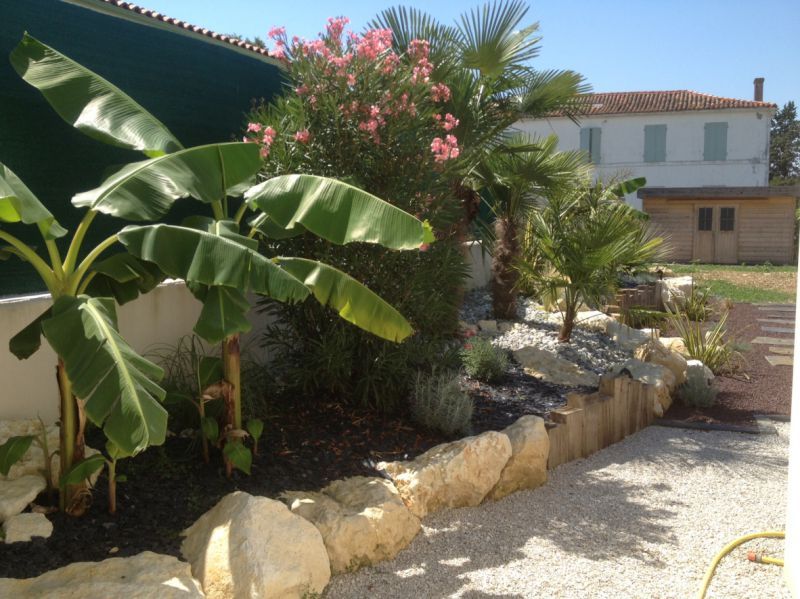 Create your very own tropical style garden | homify