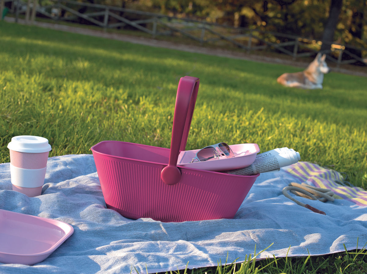 Consejos para Disfrutar un Picnic Perfecto en la Naturaleza | homify