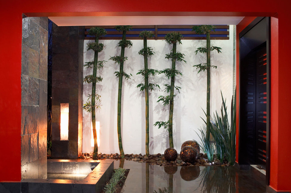 17 jardines para entradas y pasillos (¡te van a encantar!) | homify