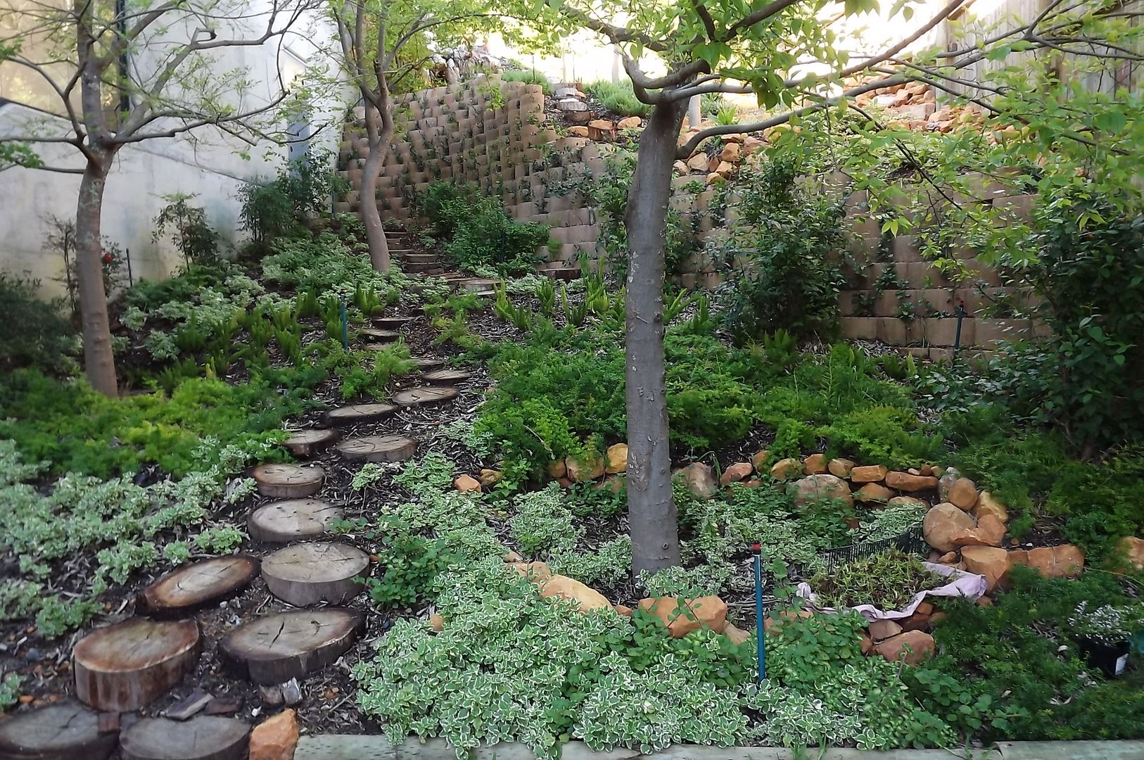 5 amazing landscaping projects to inspire yours! | homify