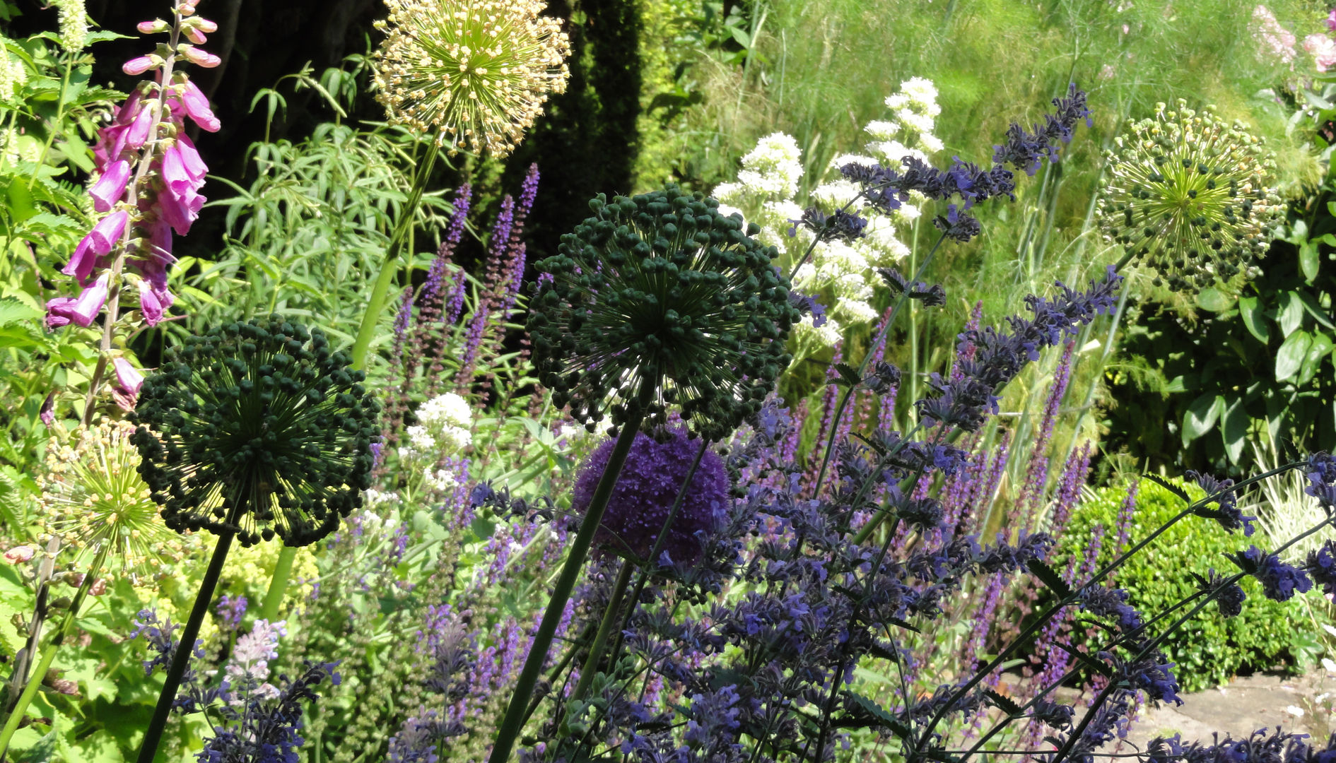 Muggenwerende planten voor thuis: Onze top 15! | homify