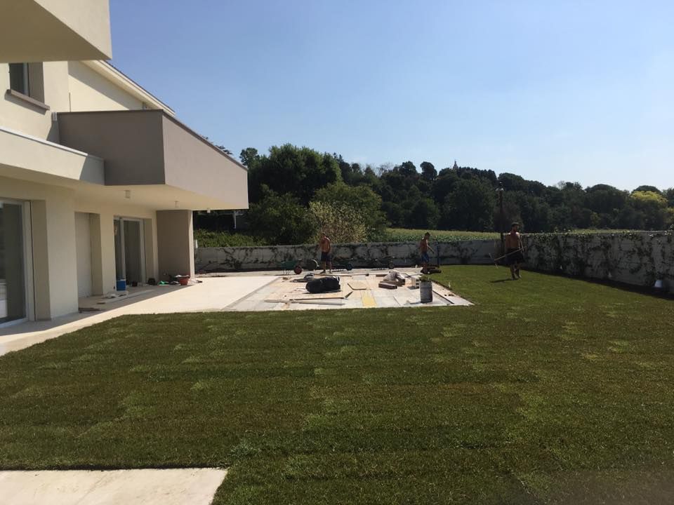 Tapete de relva natural, a solução ideal para o seu jardim! | homify