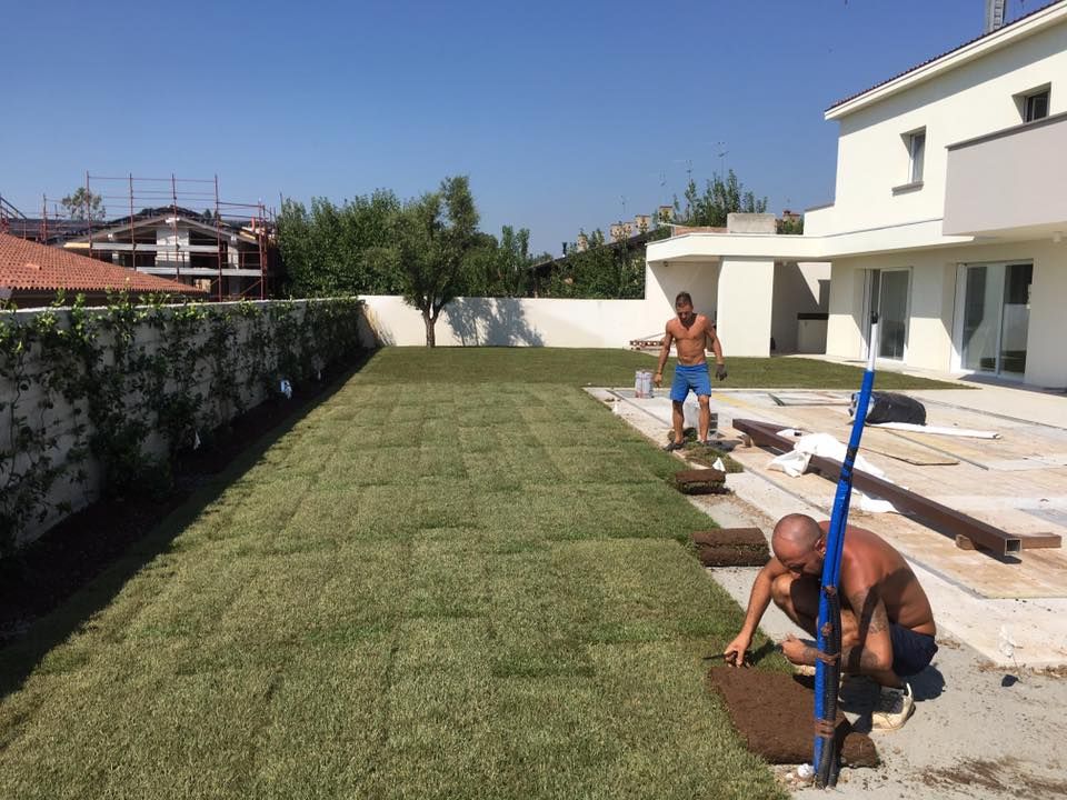 Tapete de relva natural, a solução ideal para o seu jardim! | homify