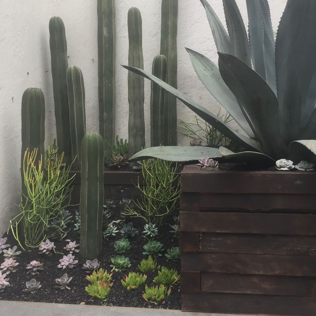 Jardines frontales perfectos para casas sencillas. | homify